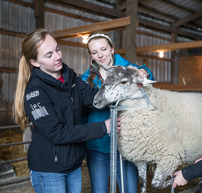 Animal Science (Diploma) - Northland Community & Technical College